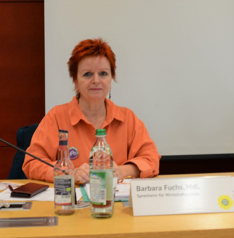 Podiumsdiskussion: Psychisch erkrankt – Wie gelingt der Weg (zurück) in ...